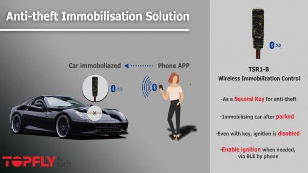 SOLUTION | REMOTE IMMOBILISATION - TOPFLYtech