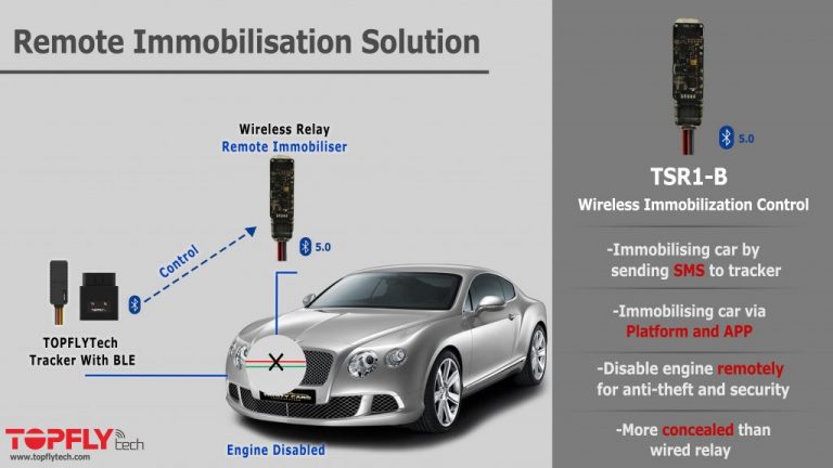 SOLUTION | REMOTE IMMOBILISATION - TOPFLYtech